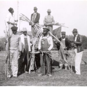 The Digital PV Panther Project